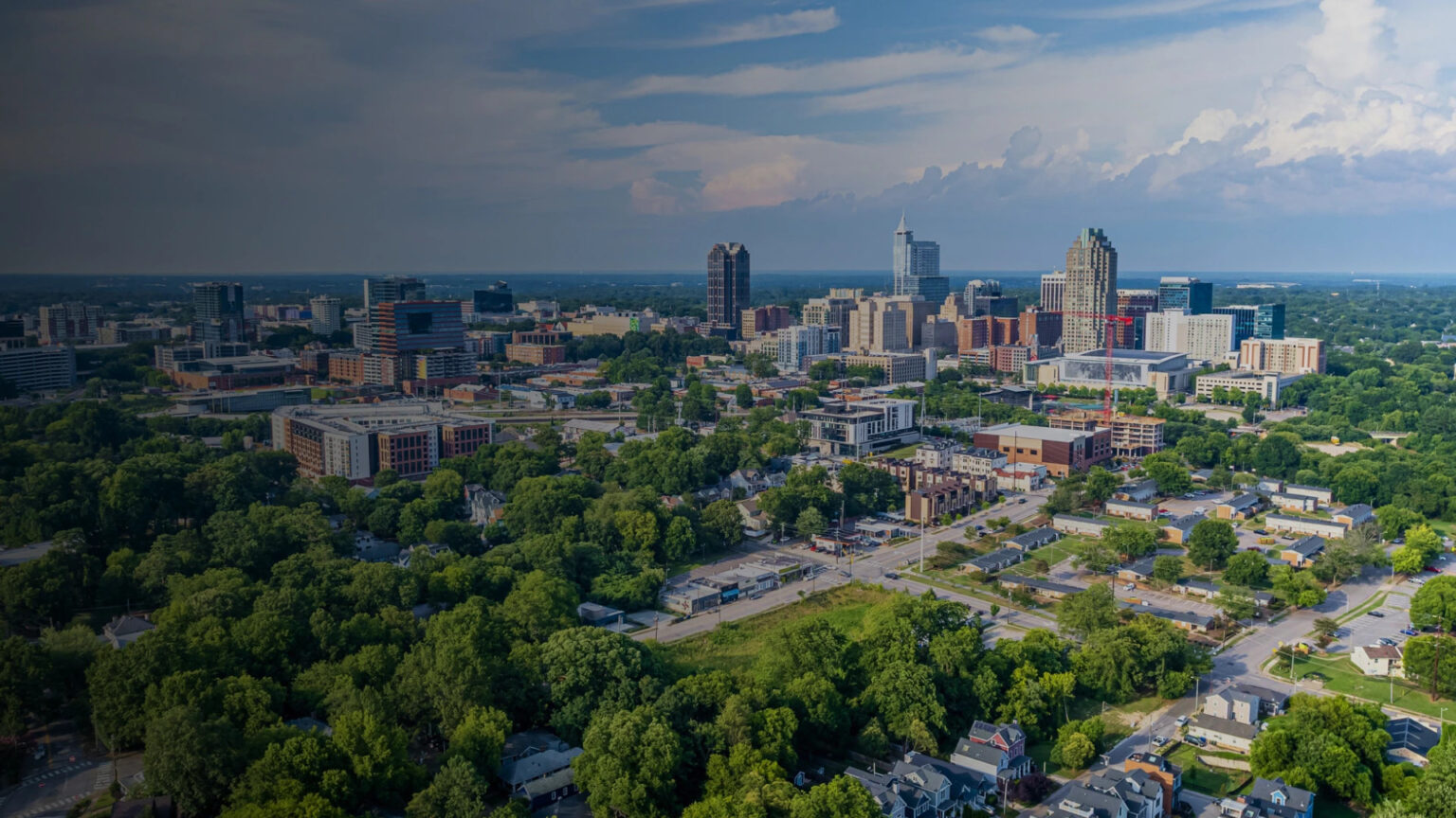 Raleigh Capitol Ear, Nose, and Throat - Expert Care for All